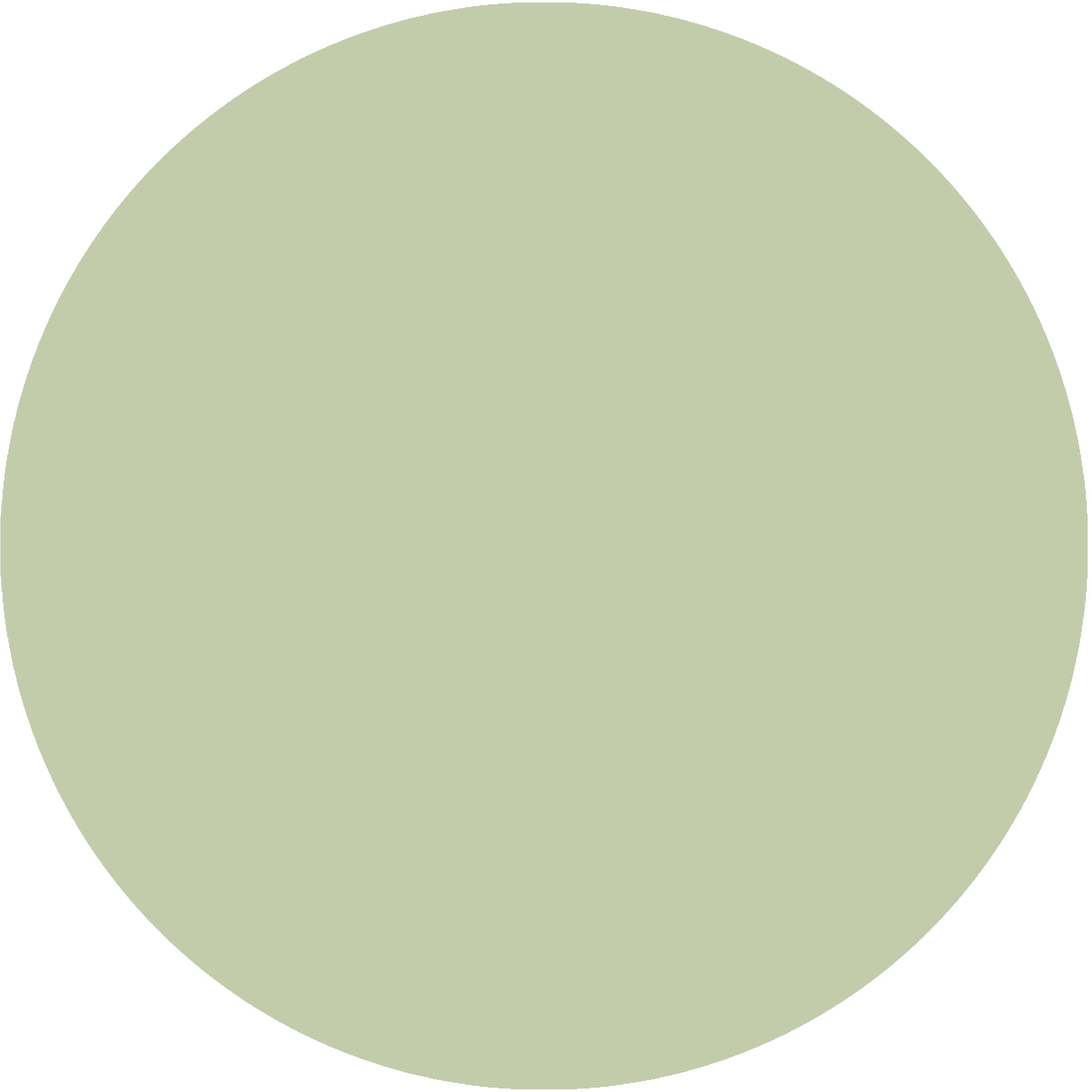 Carolus – Ray Munn