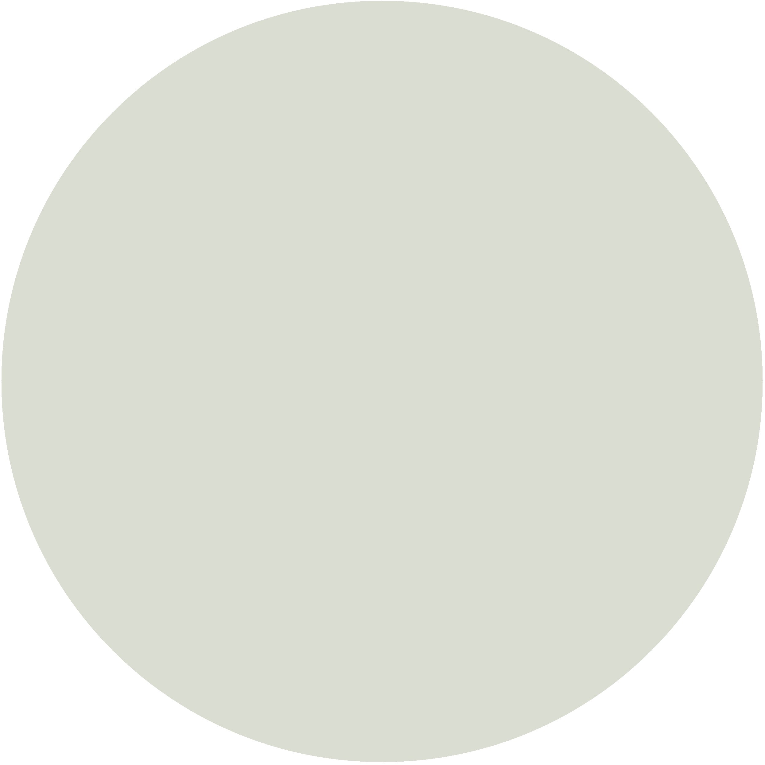 Pale Powder No.204 – Ray Munn