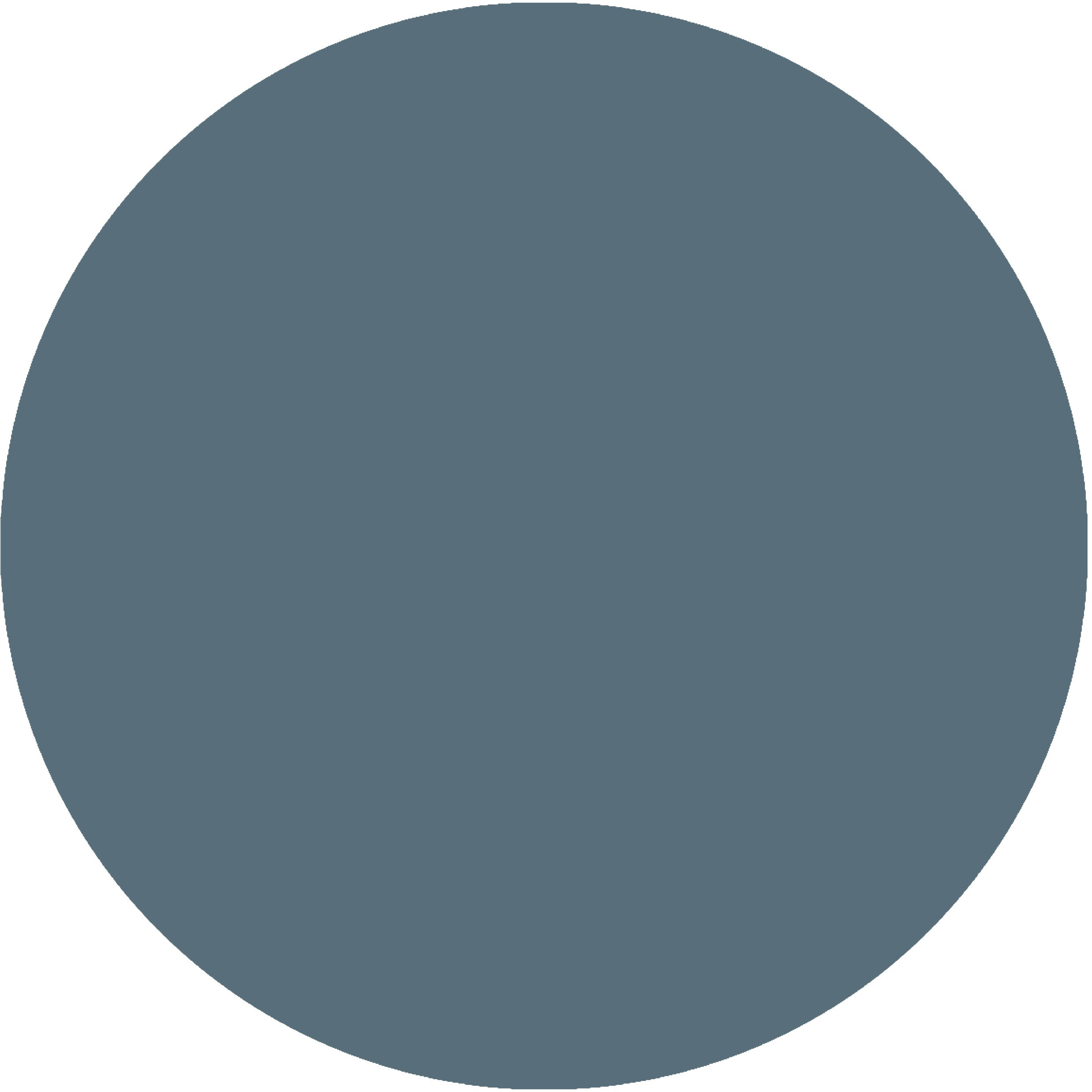 Paloma Blue – Ray Munn