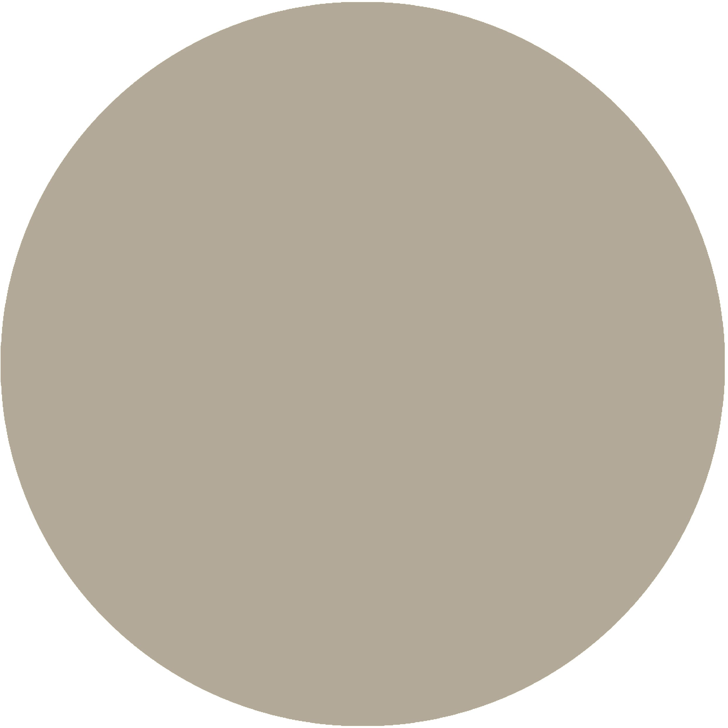 Beech Grey – Ray Munn