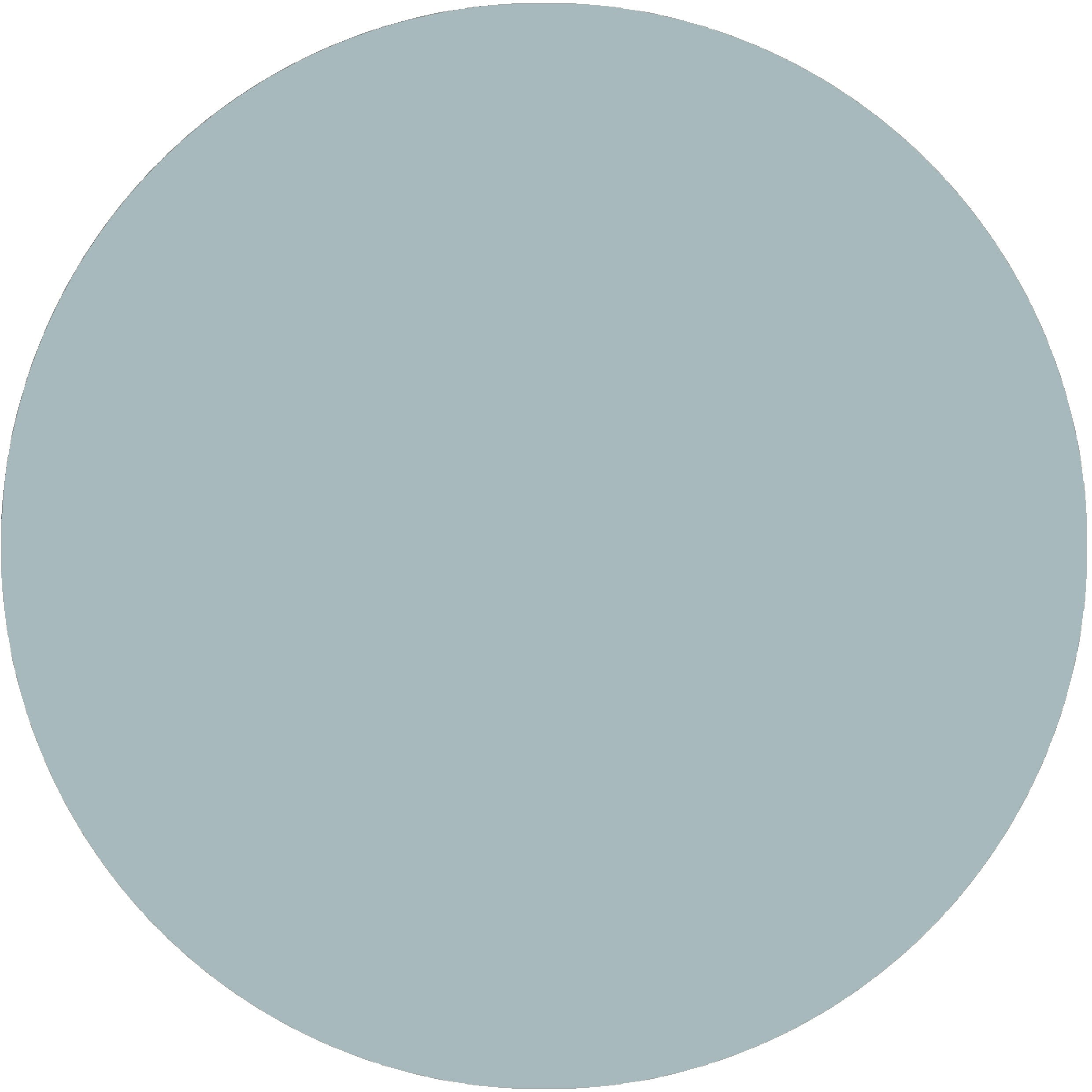 Bone China Blue – Ray Munn