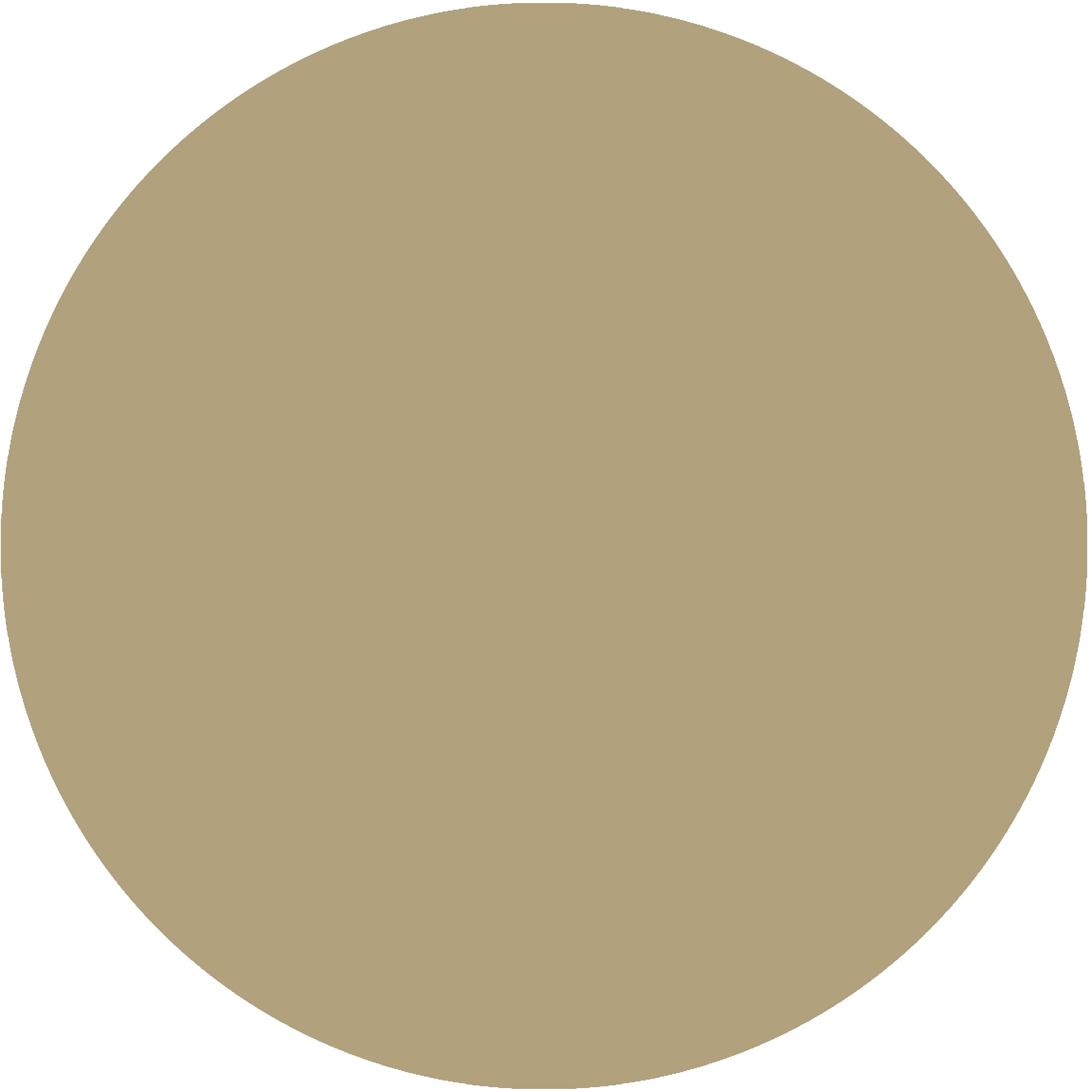 Citrus Stone – Ray Munn