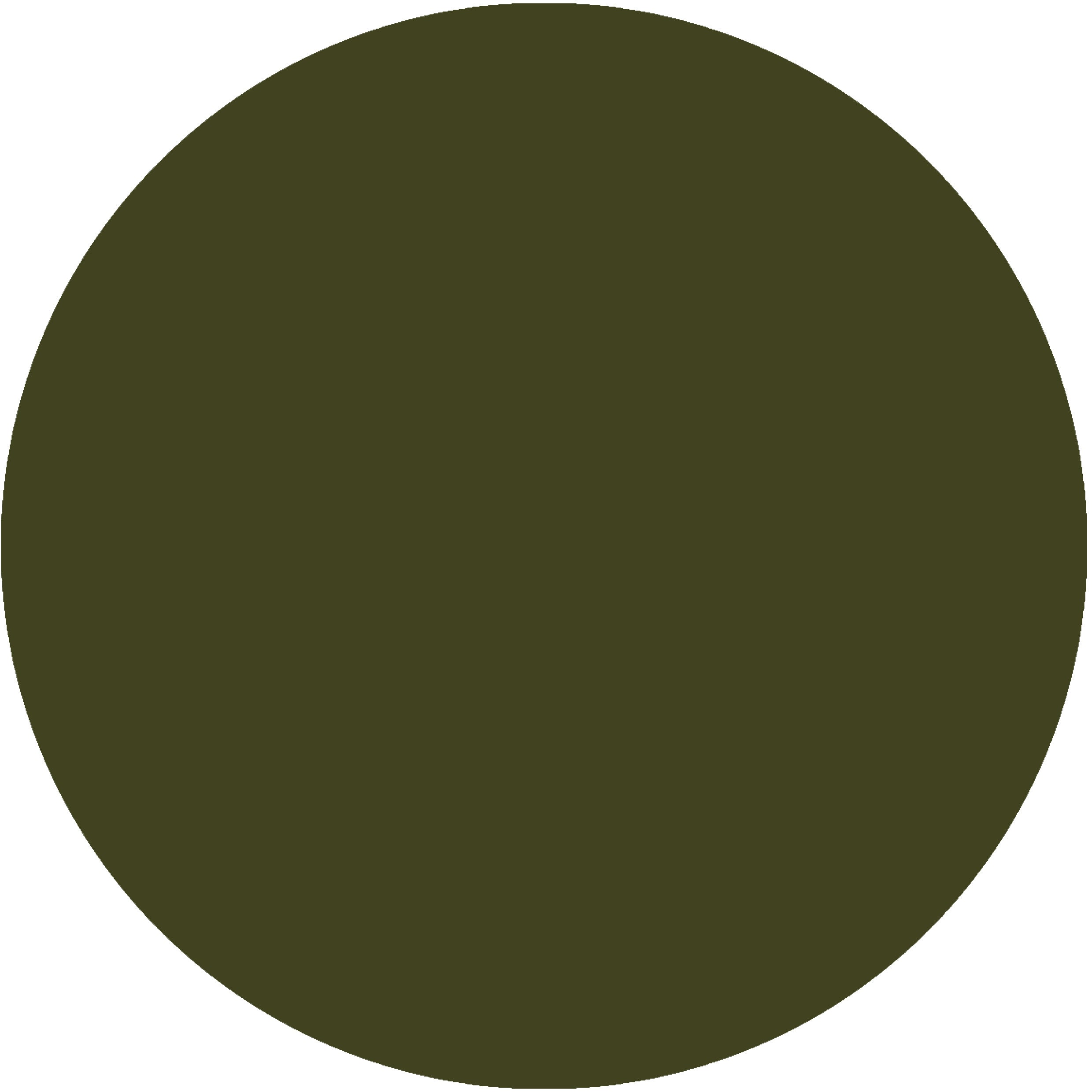 Olive Colour – Ray Munn