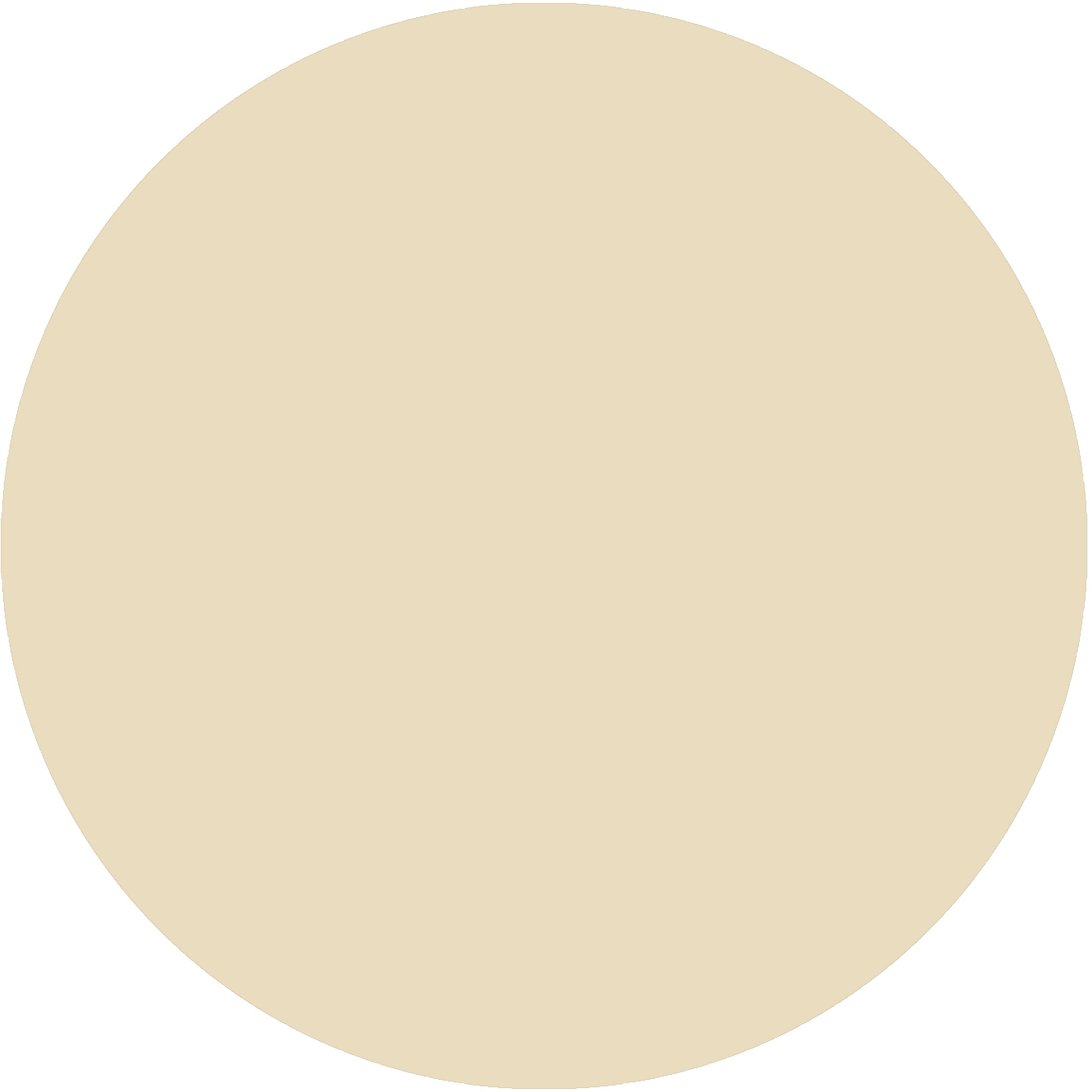 Pale Parchment – Ray Munn