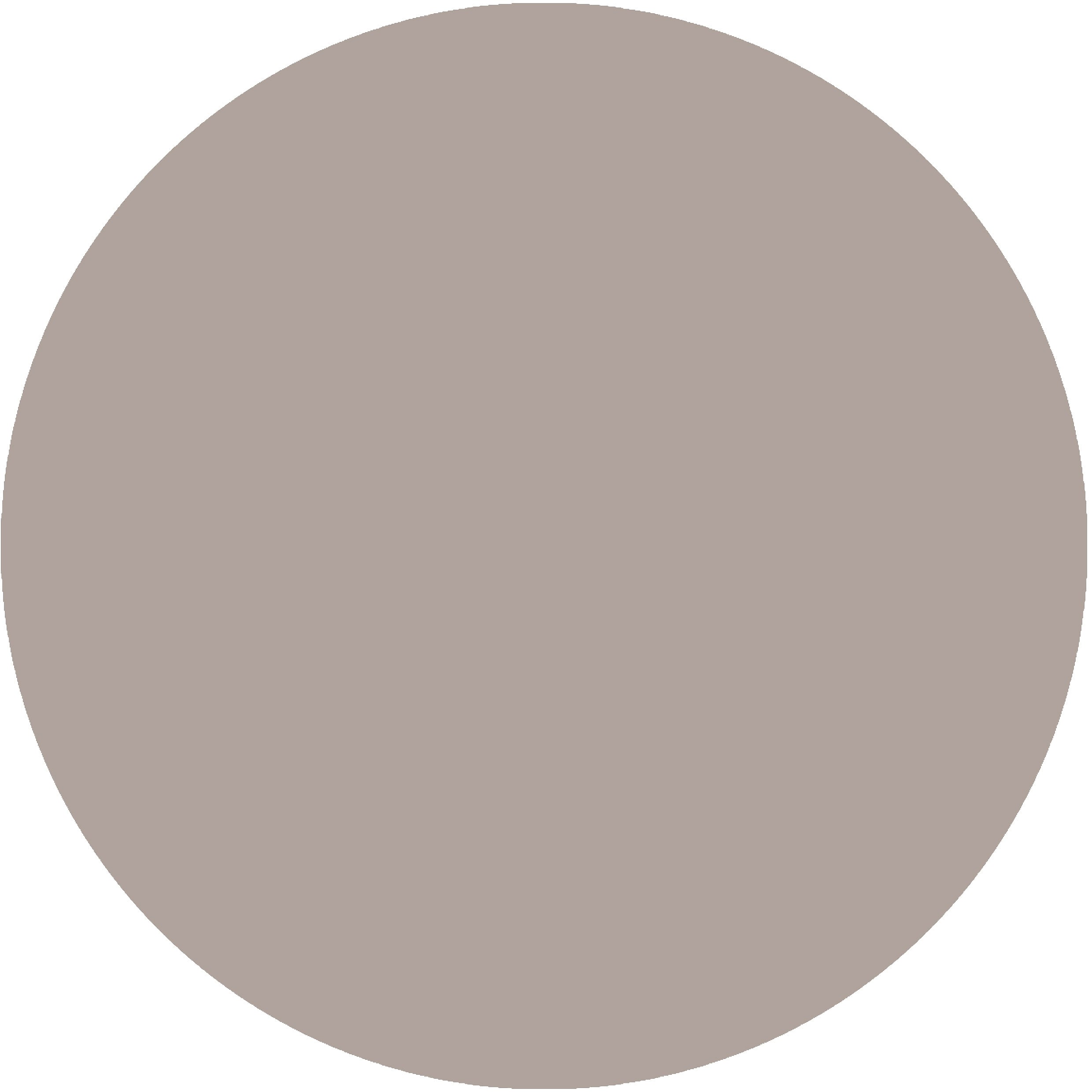 Perennial Grey – Ray Munn