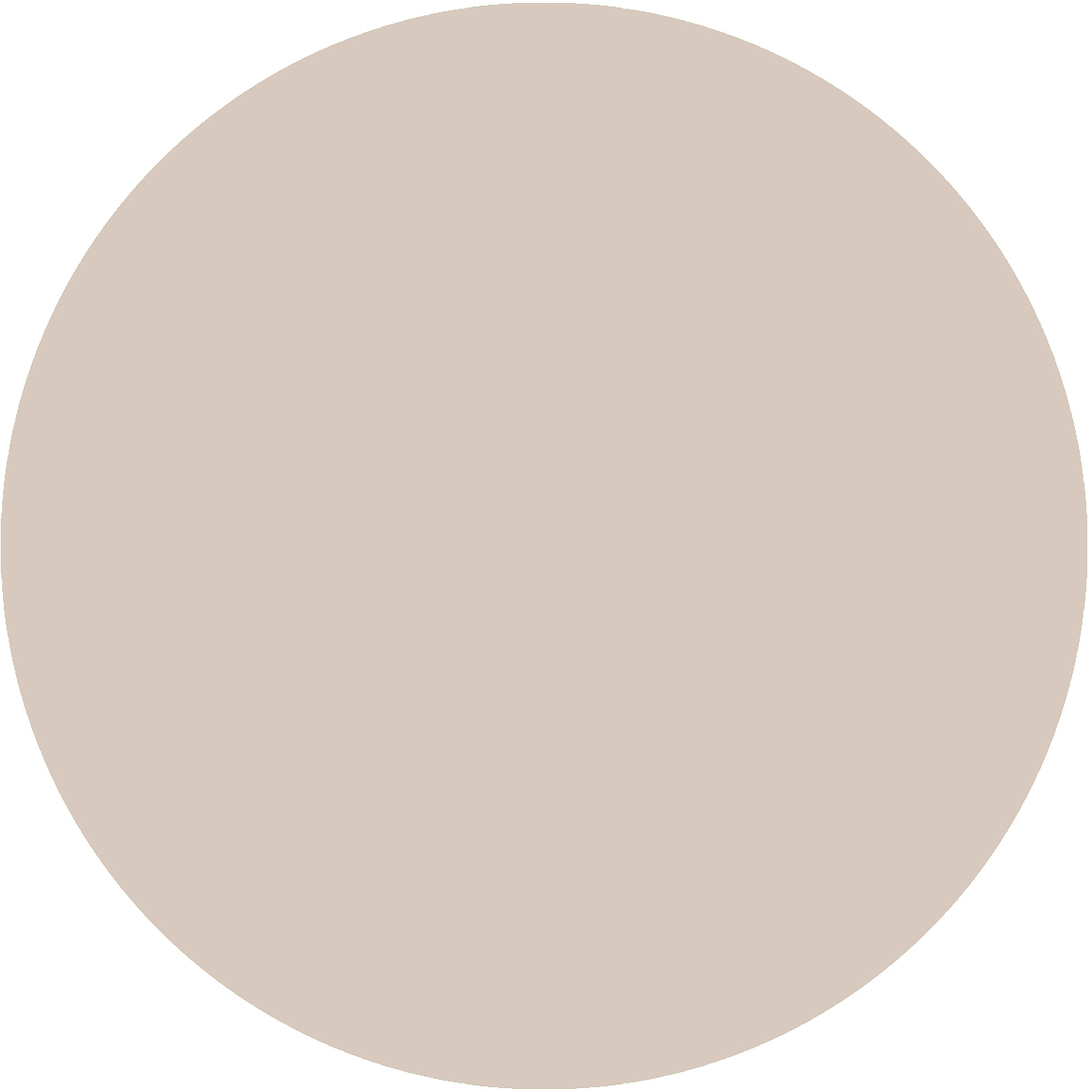 Plaster IV – Ray Munn