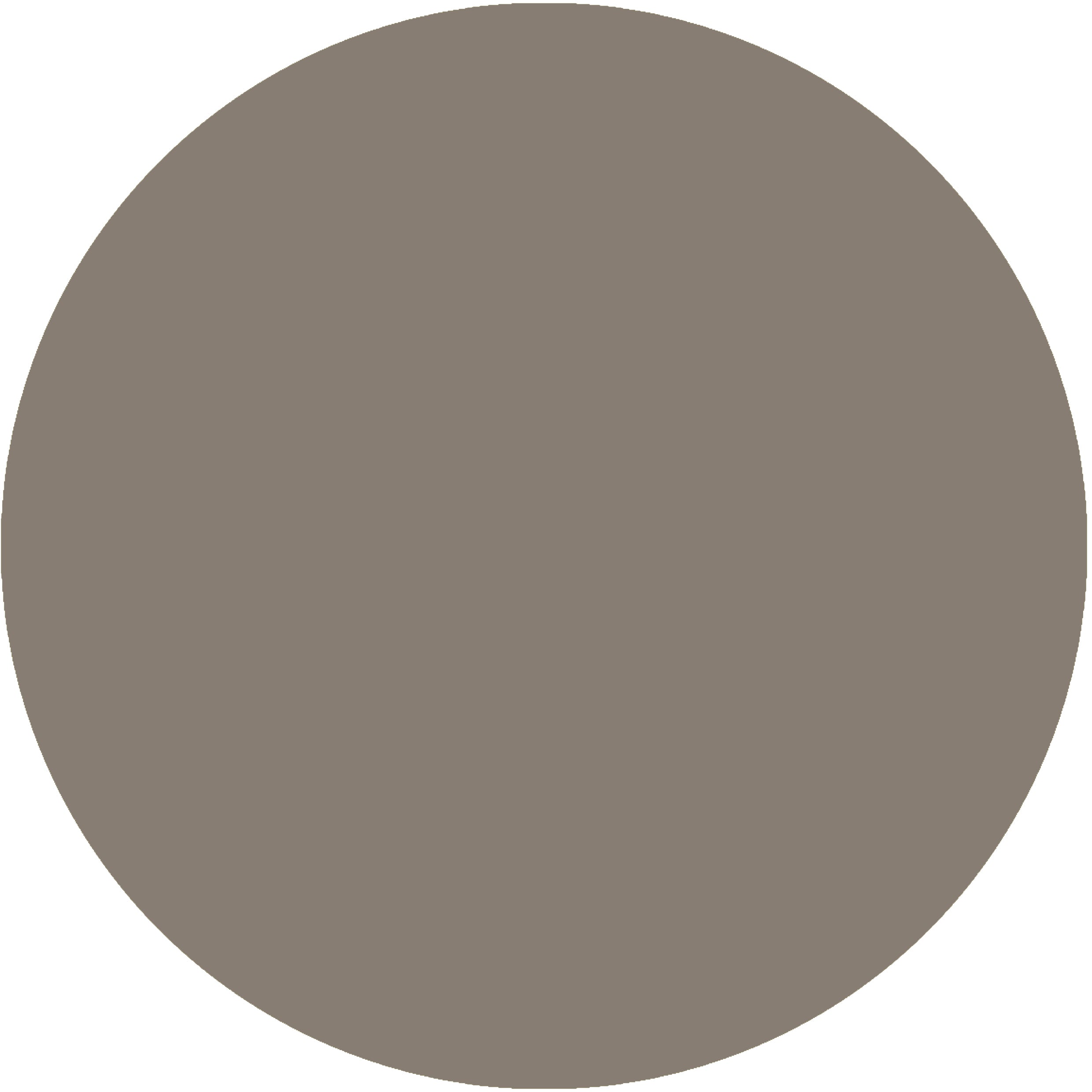 Raw Umber – Ray Munn