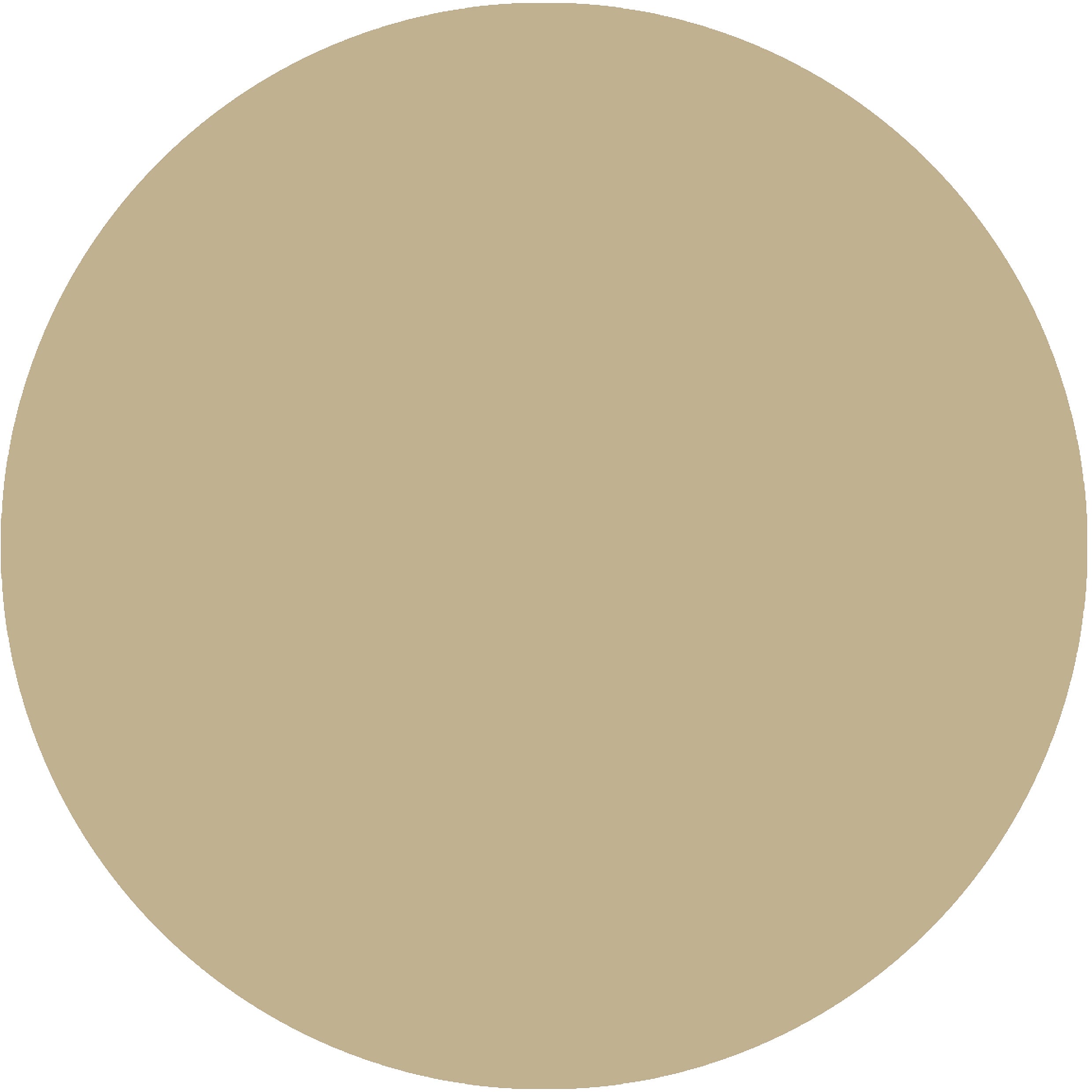 Roman Plaster – Ray Munn