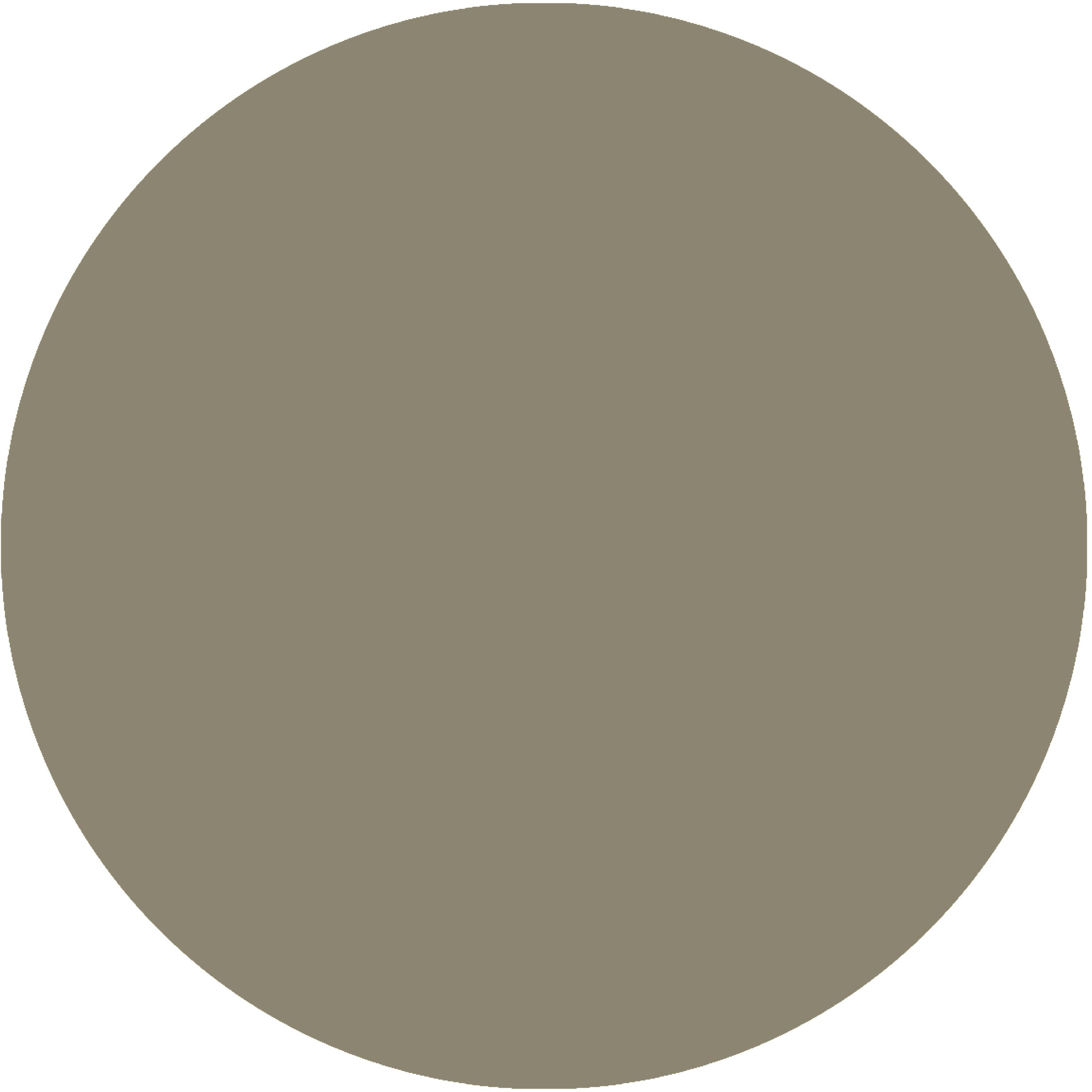 Spanish Olive – Ray Munn