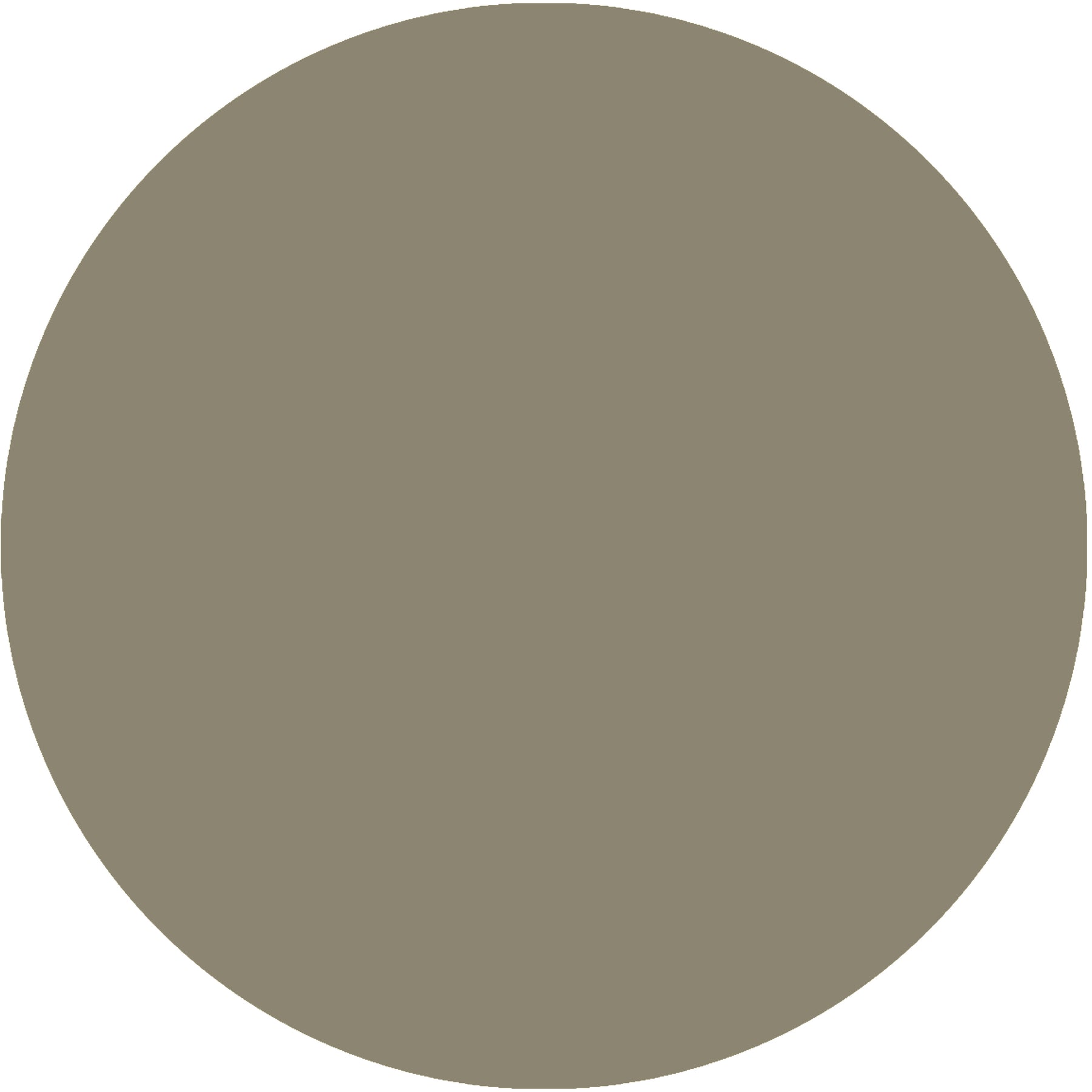 Spanish Olive – Ray Munn