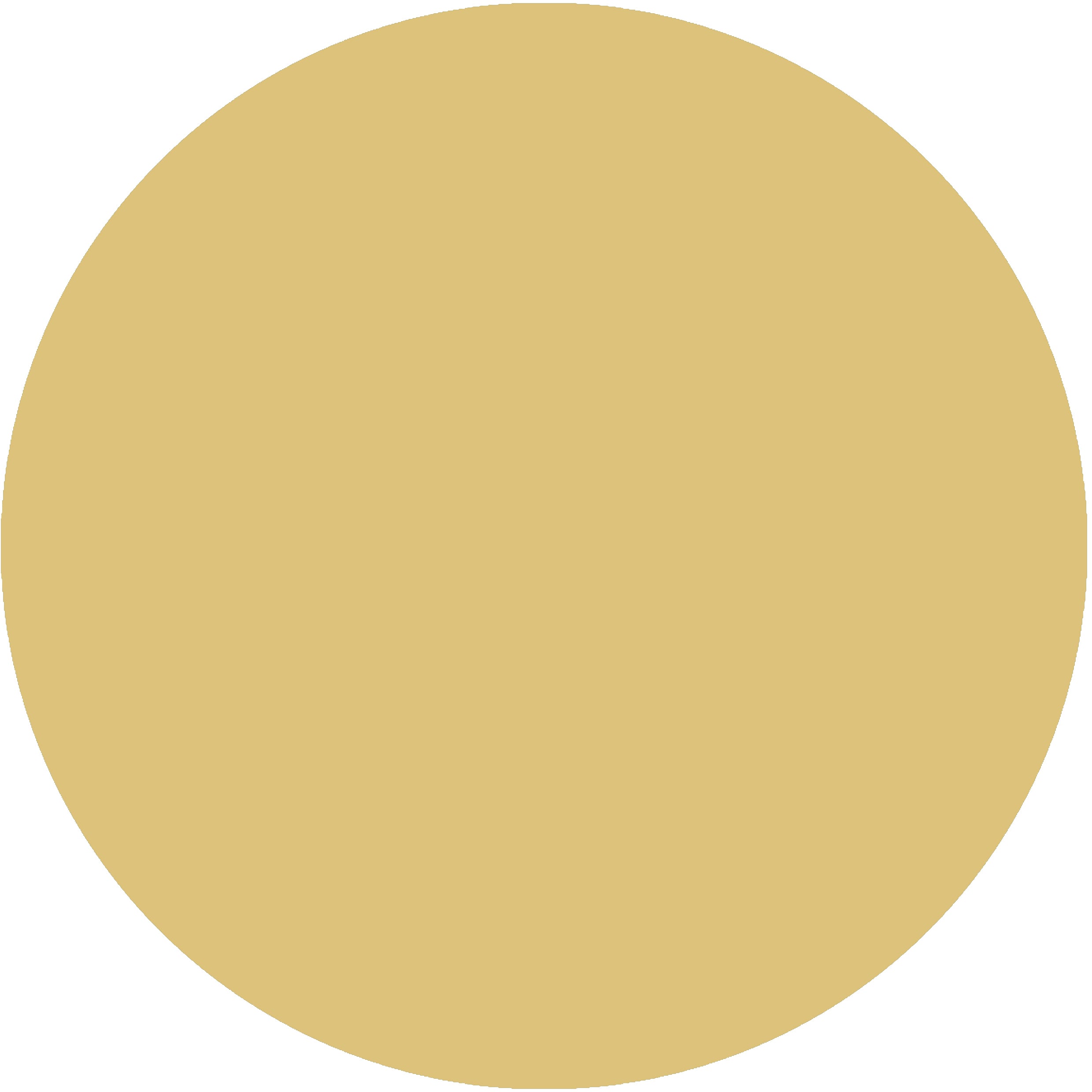 Vermeer Yellow – Ray Munn